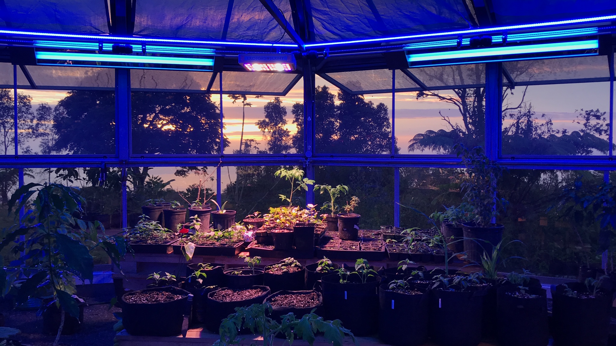 Gallery ⋆ Blu Gro House System